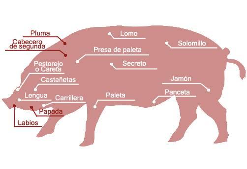 Solomillo de cerdo a la naranja | El Saber Culinario