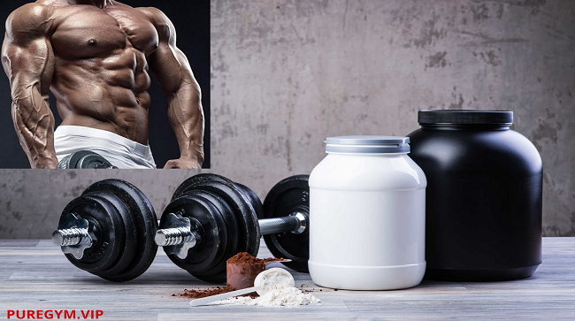 4 Pillars of Supplements For Bodybuilders And Athletes - Pure Gym