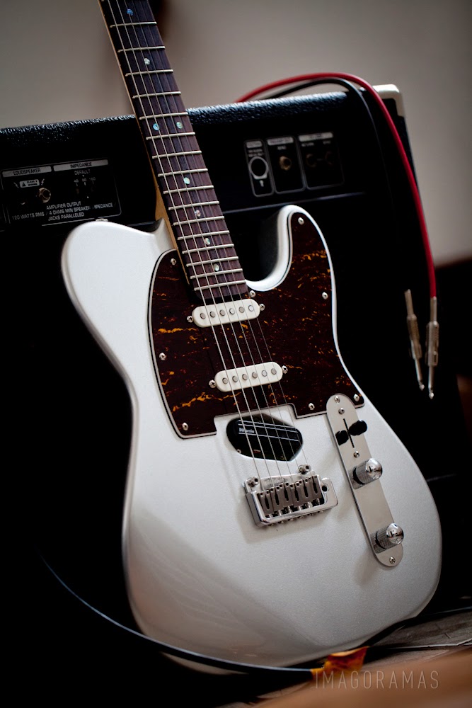 Fukuda Guitars: Purpleheart Tele Thinline SH - HandMade