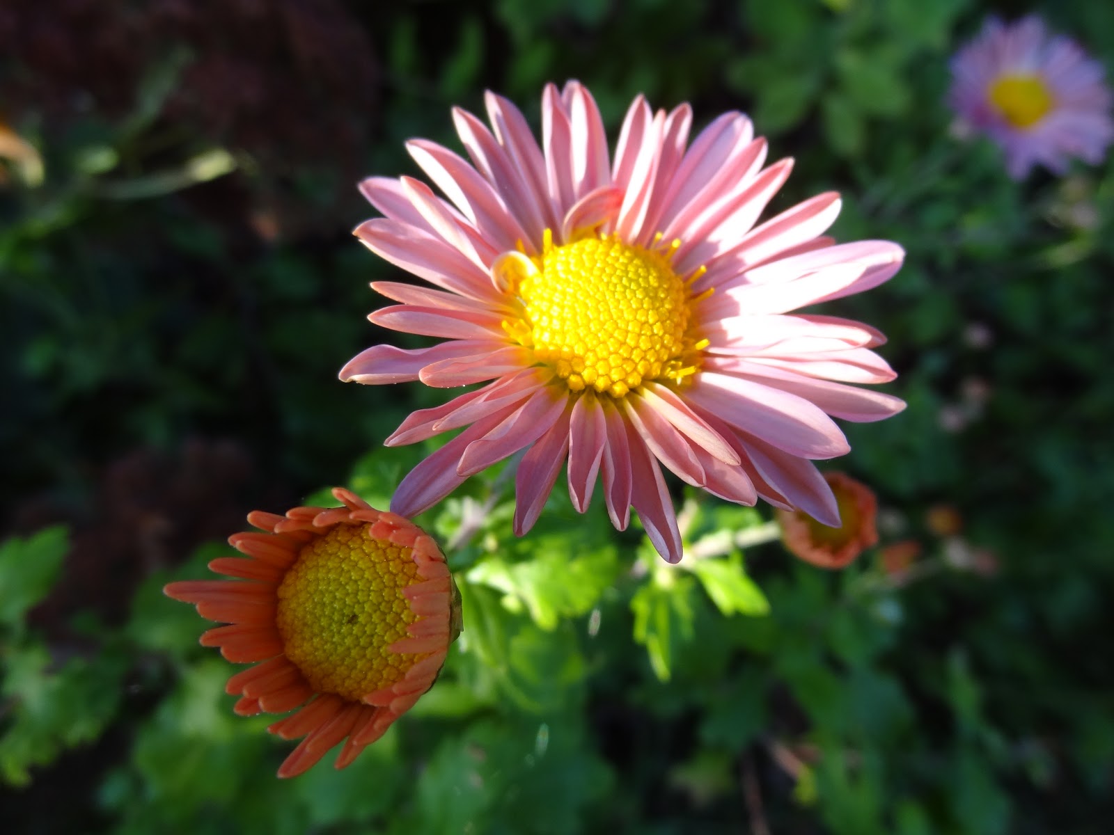 Live and Learn-Toss and Turn: 10/01/2012 - 11/01/2012