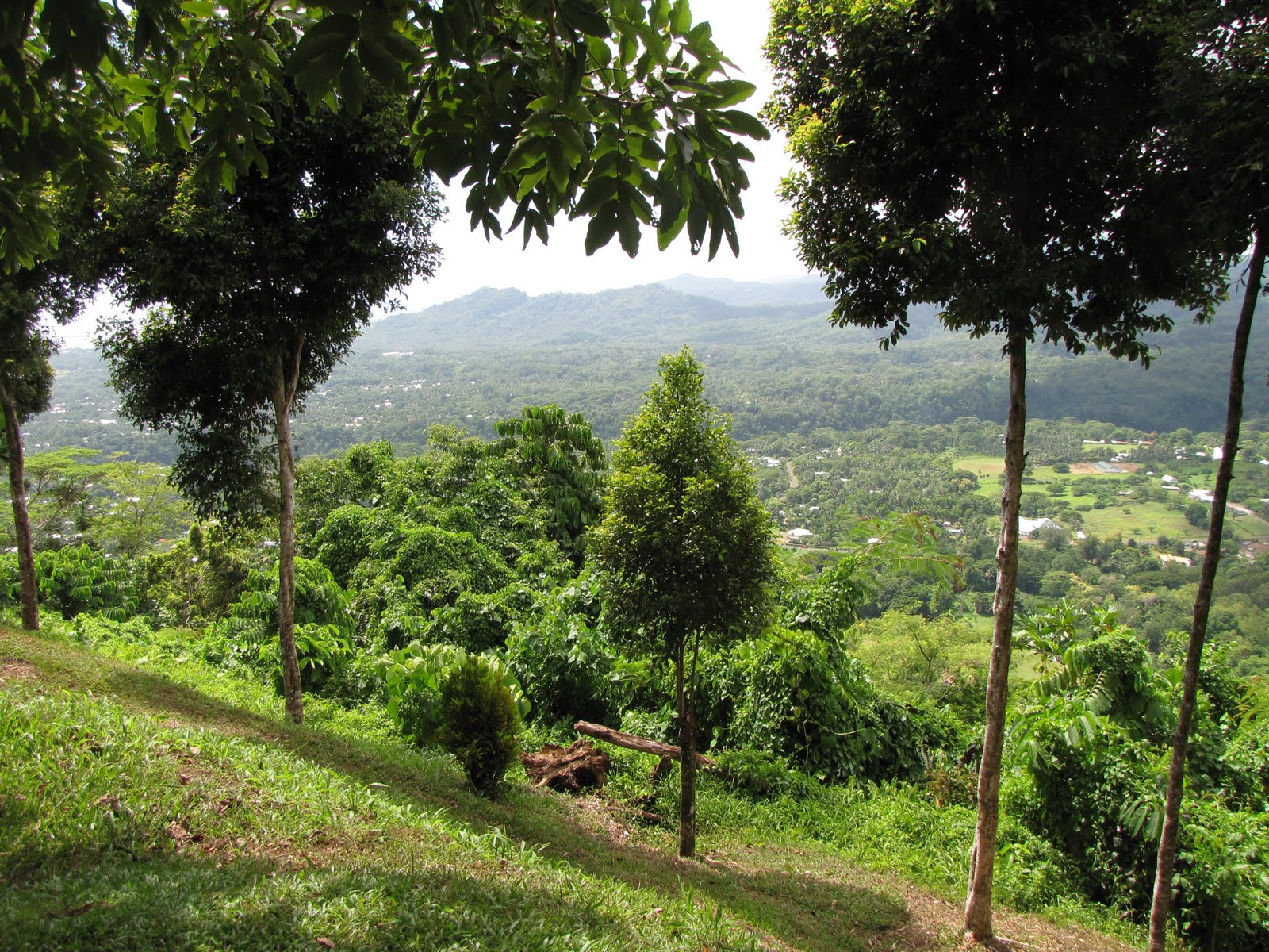 Holes in My Soles: S IS FOR STEVENSON: ROBERT LOUIS STEVENSON! THE A- Z ...