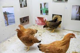 CRÓNICAS DE UN PÁJARO : Expo EXpo EXPo EXPO