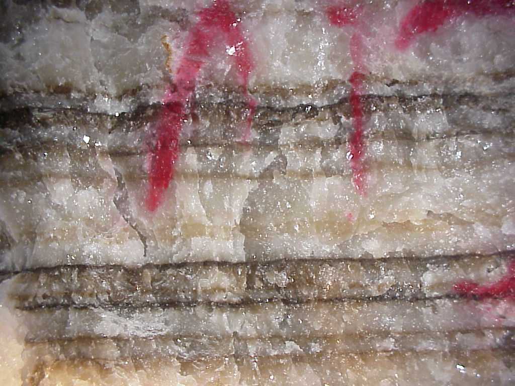 Premium Way💼: Geografi XI