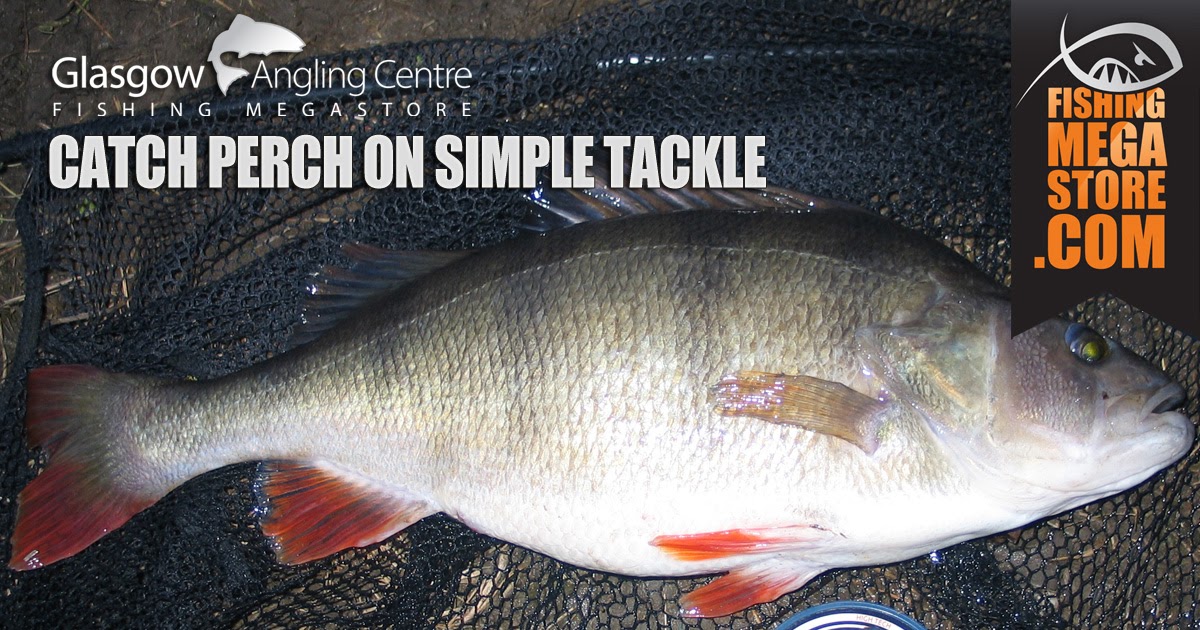 Catching Perch on Simple Tackle