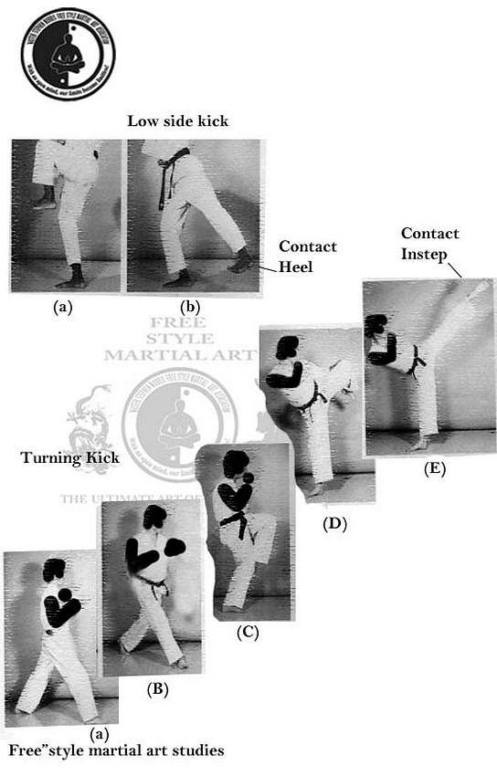 All Types Of Kicks In Martial Arts at Bettina Powell blog