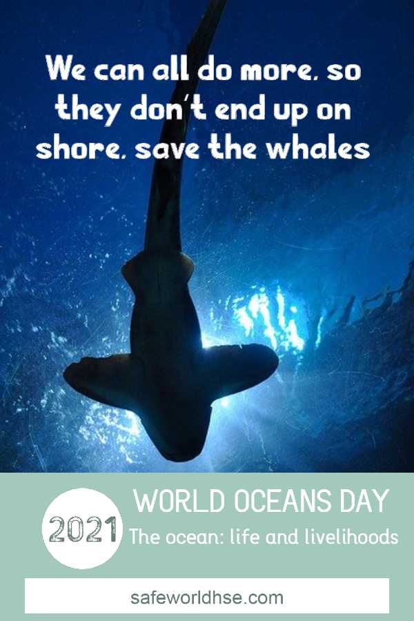 World Ocean Day 2021: Theme, Slogans, Quotes Images, Messages & posters ...