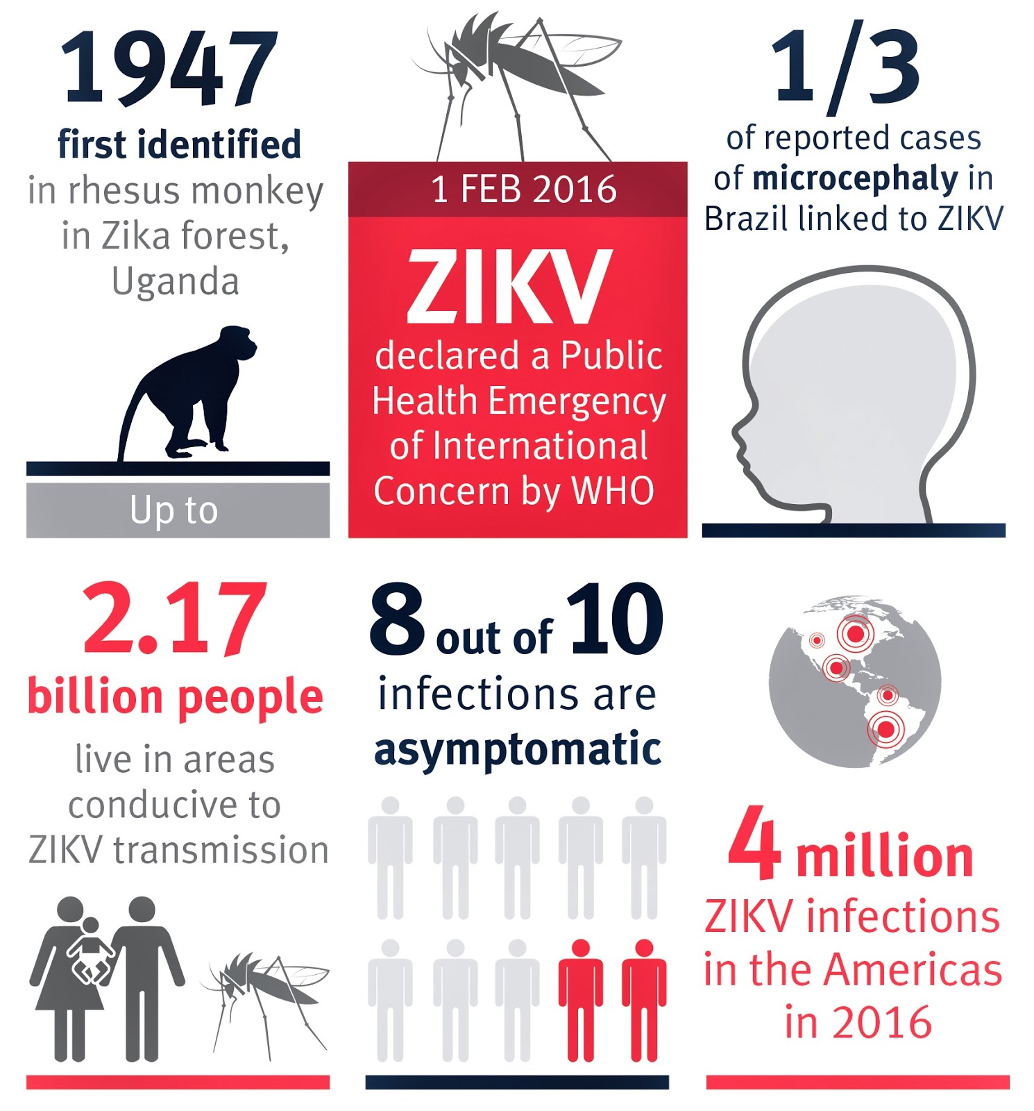 The Health Hub: Zika virus