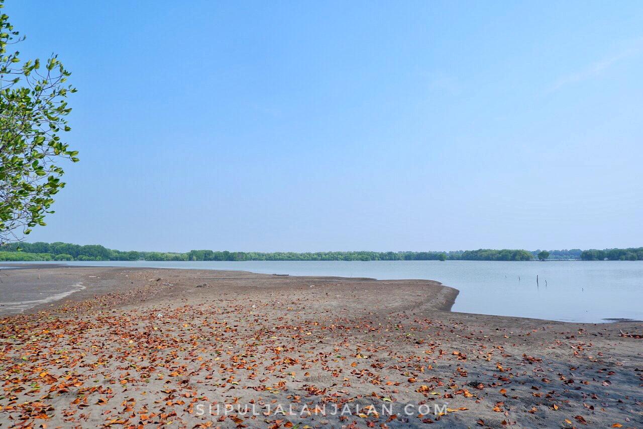 Pantai Muara Beting, Pantai Eksotik di Muaragembong Bekasi