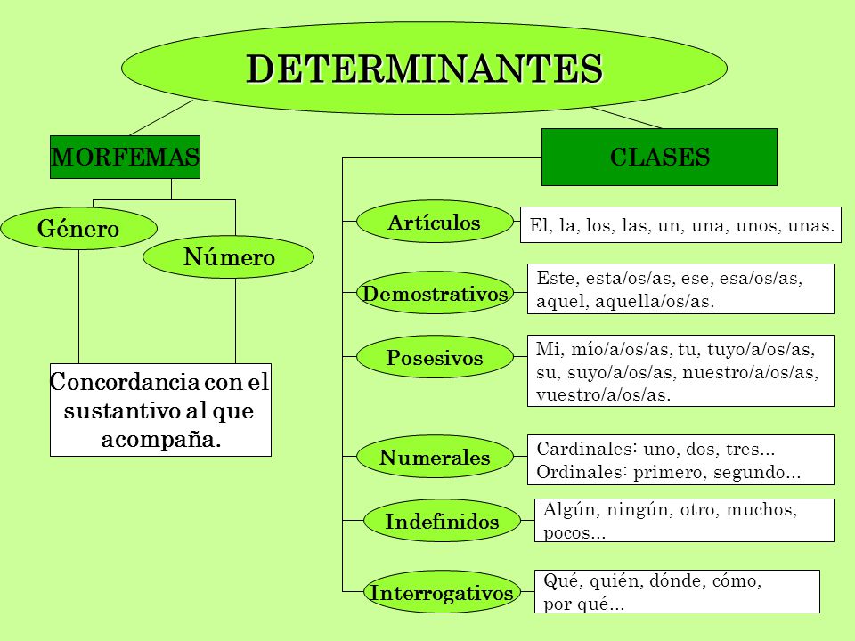 6è de Primària del CEIP Sa Blanca Dona: LOS DETERMINANTES