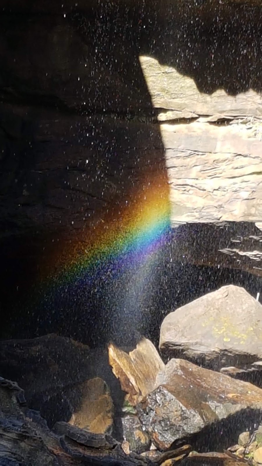 Steventure: Forty Foot Falls