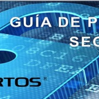 Expertos Seguridad Ltda.