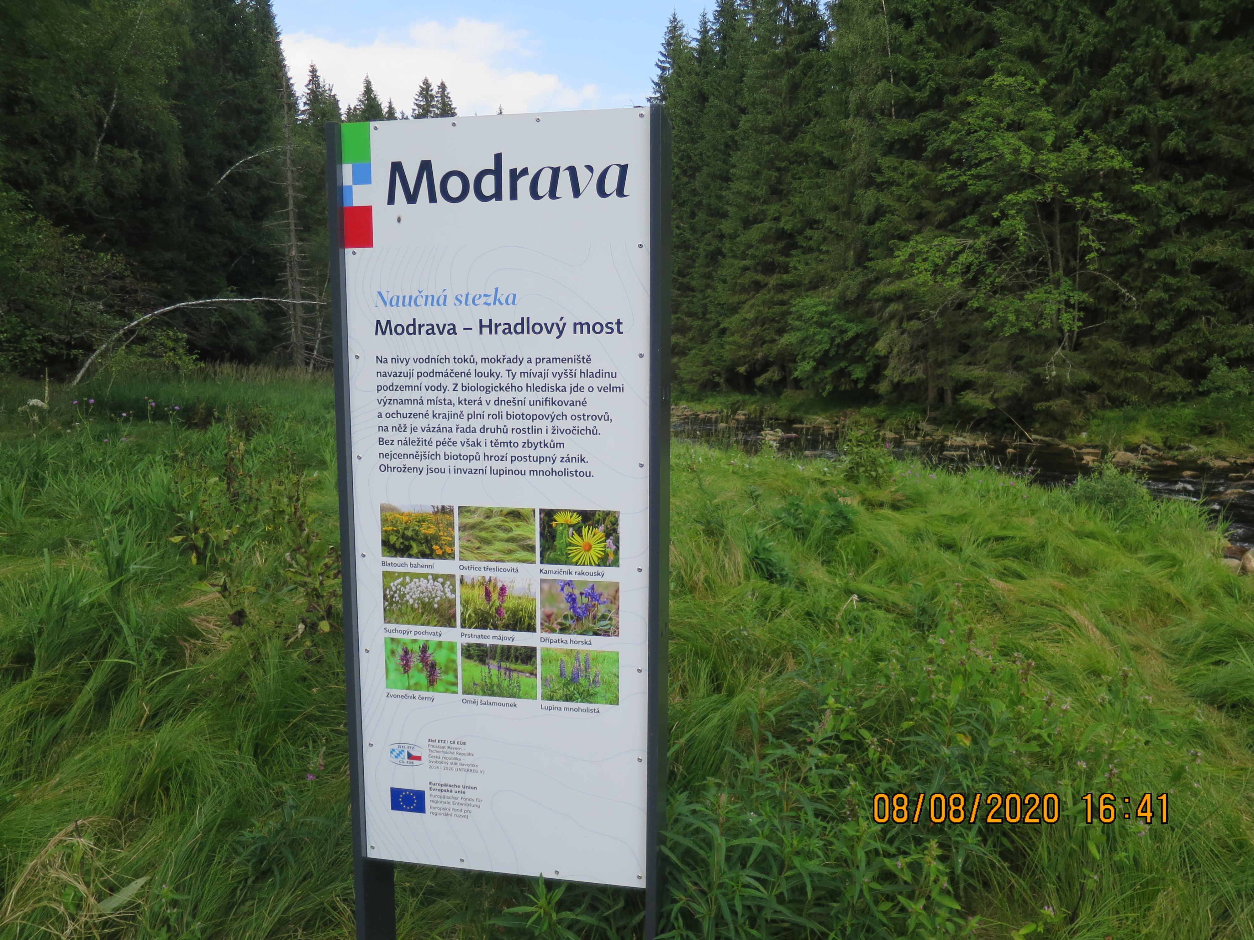 MODRAVA - HRADLOVÝ MOST (RECHLE) - MODRAVA