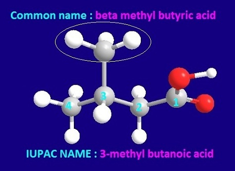 IUPAC name and structural formula of beta methyl butyric acid - PG.CHEMEASY