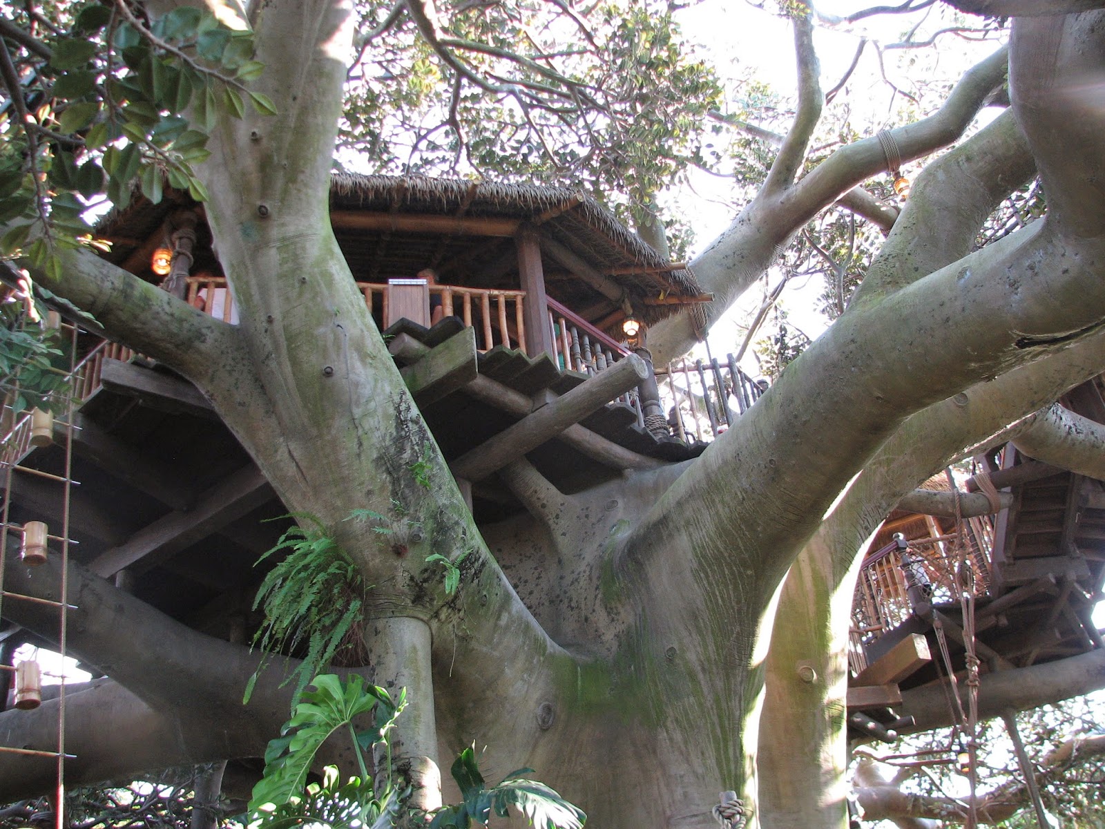 Bonao Internacional: EN DISNEY ' S MAGIC KINGDOM : LA CASA EN EL ARBOL ...