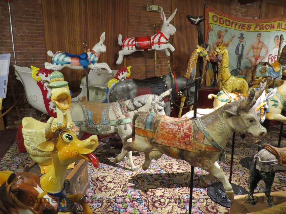 Anne's Creative Cornucopia: Carousel Horse Rabbit Cow Giraffe - Photograph