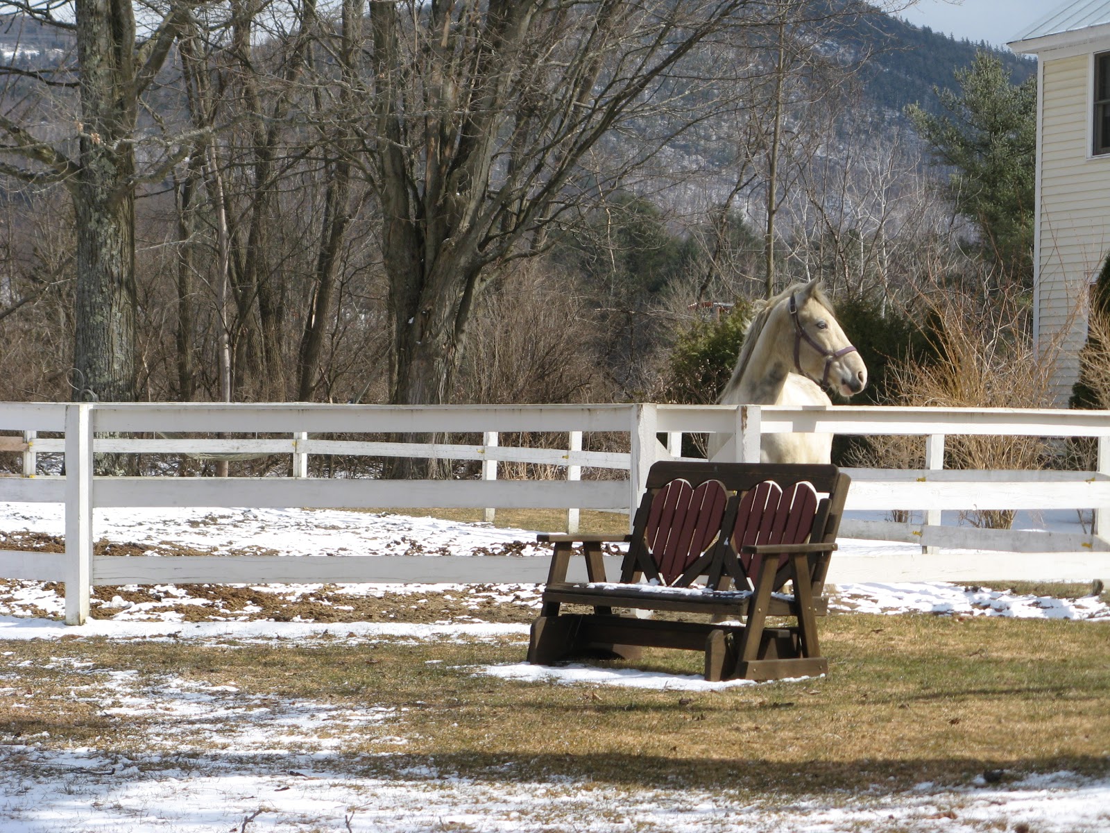 Animal Instinct: April Barns