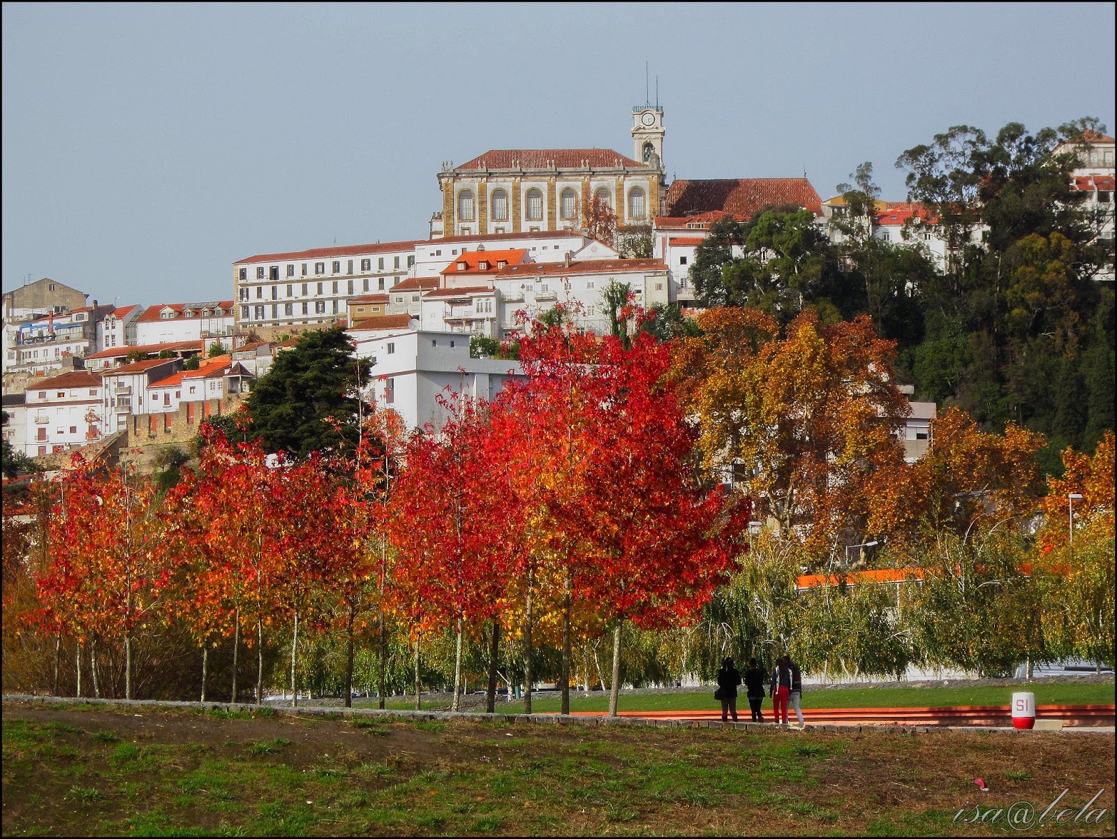 UM PIGO DE LUZ: Parque Verde do Mondego no Outono / Coimbra