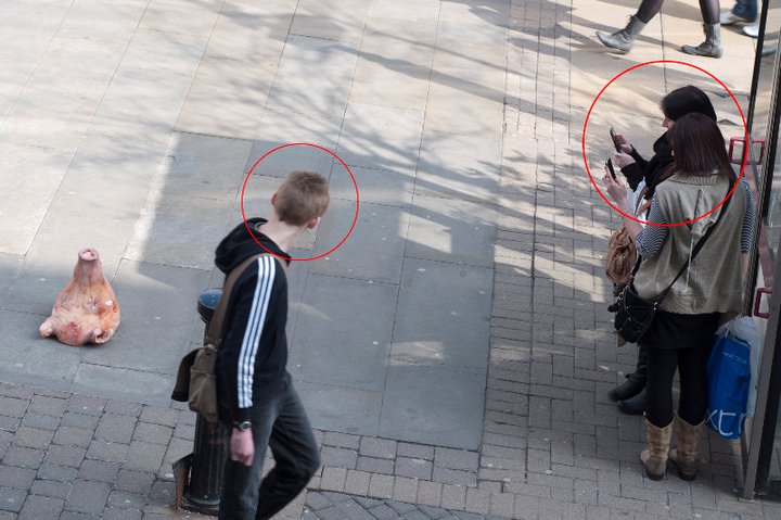 Harry Scott Photography: The Commission