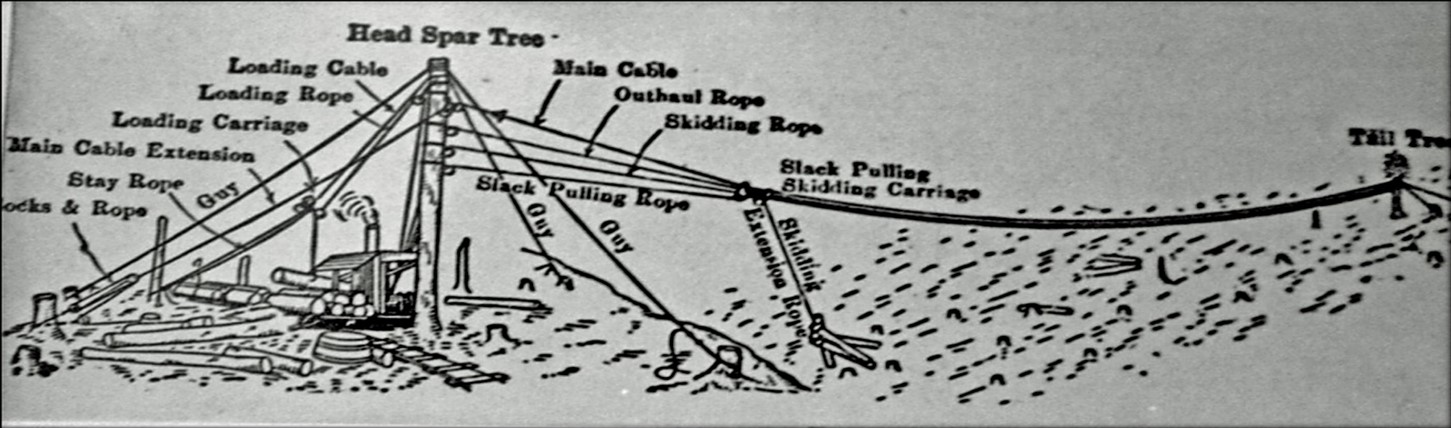 All Things Bayou Pigeon: White Castle L & S Co. - Lake Natchez/ Railroad