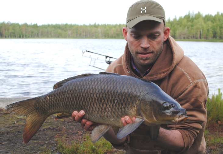 SG Zander: Karp bilder.