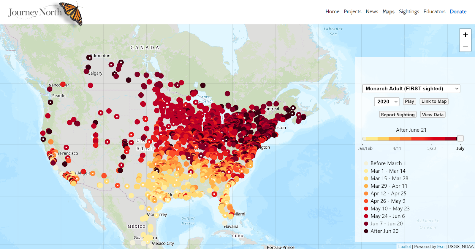Monarch Butterfly Migration Map