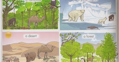 Learning English Ideas.: Animal Habitats - Find the odd one out
