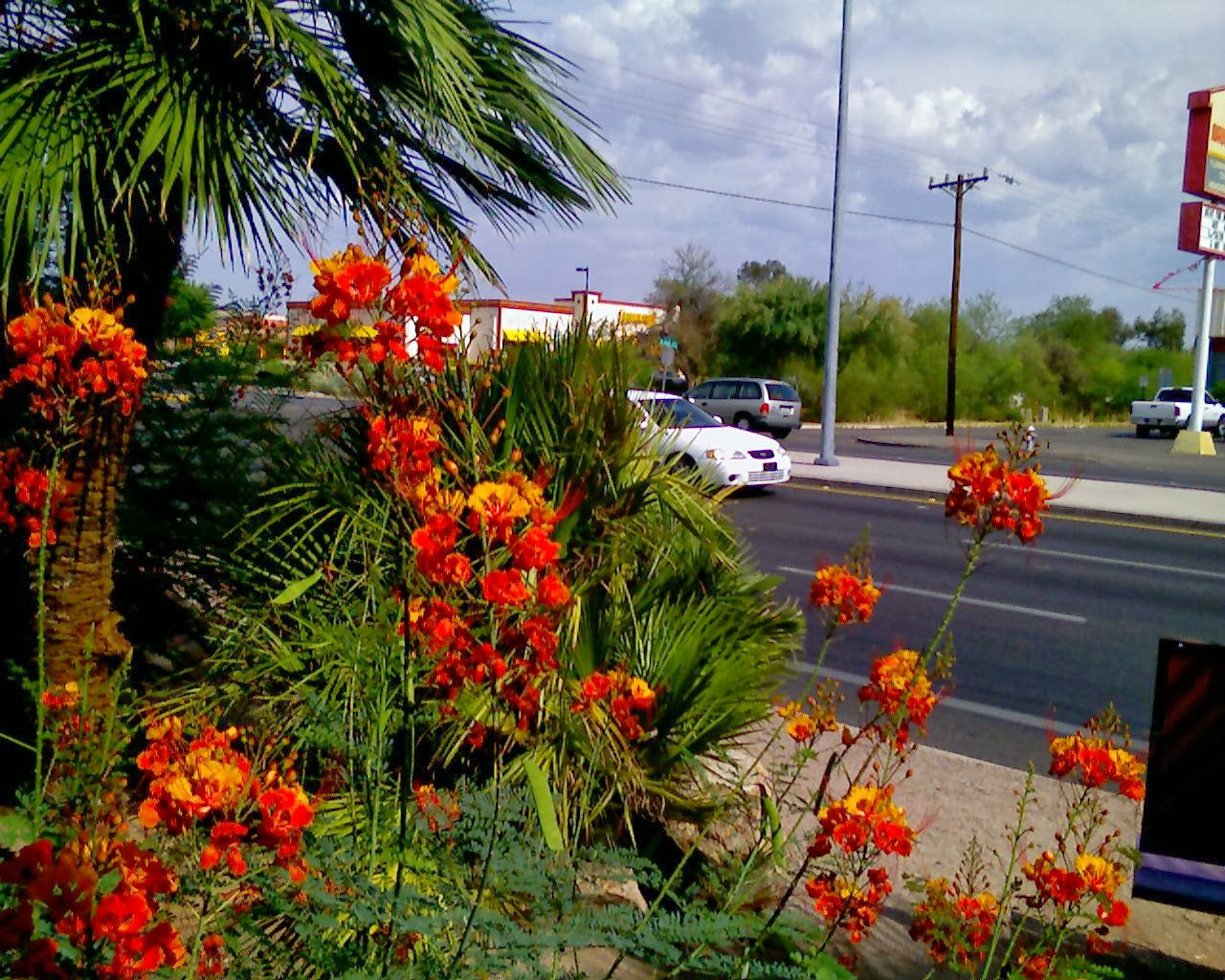 Travel For Soul: A Road Trip to Prague