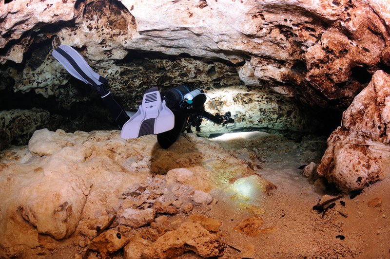 States of Immersion - A Florida Cave Diving Adventure: Ginnie Springs ...