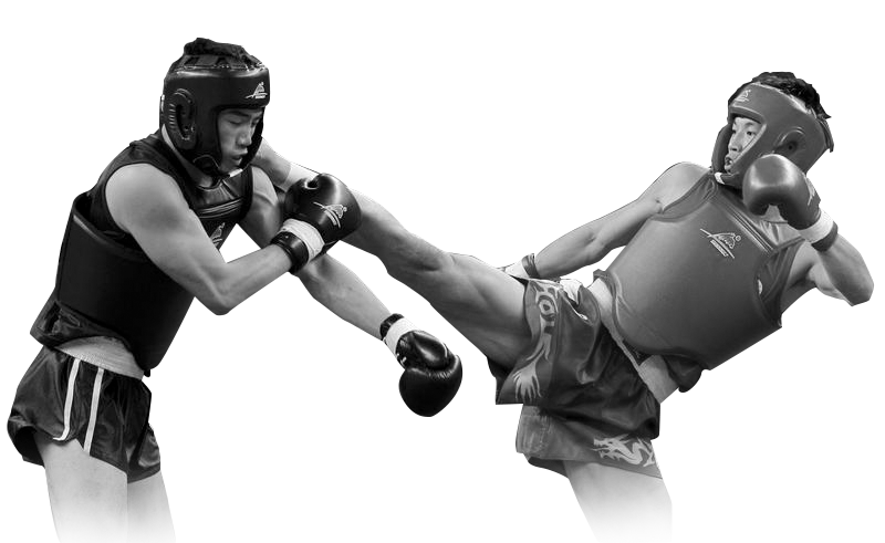 Loukos Por Artes Marciais : Conheça algumas curiosidades sobre o Sanshou.