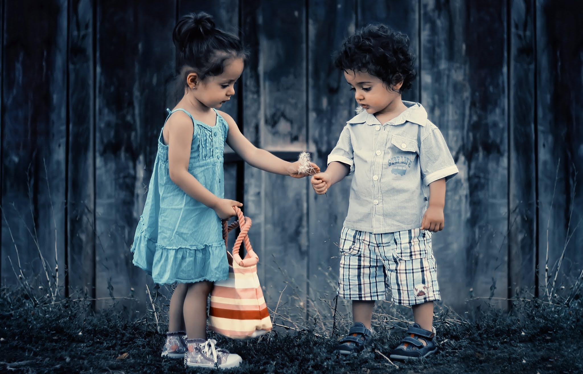 Does Elmo Have A Girlfriend? Who is Elmo's Girlfriend?