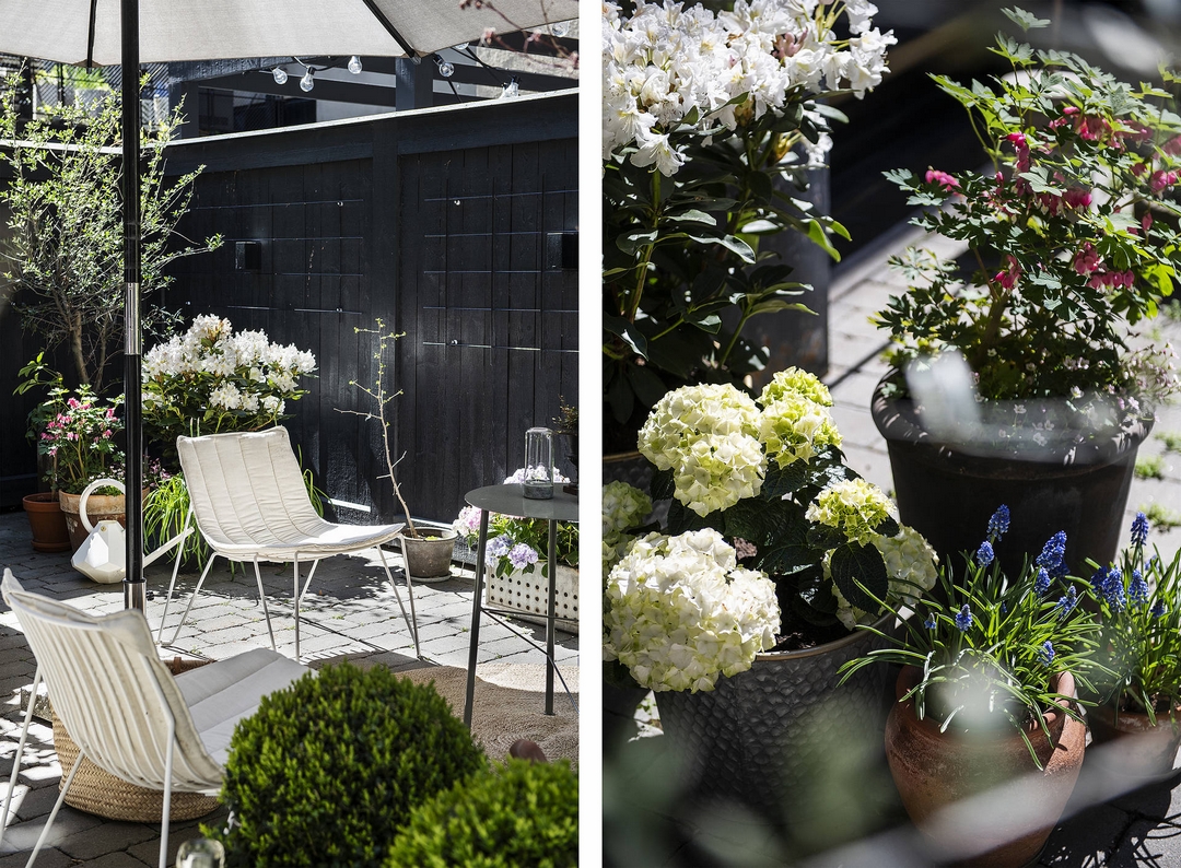 découvrir l'endroit du décor : UNE BELLE TERRASSE