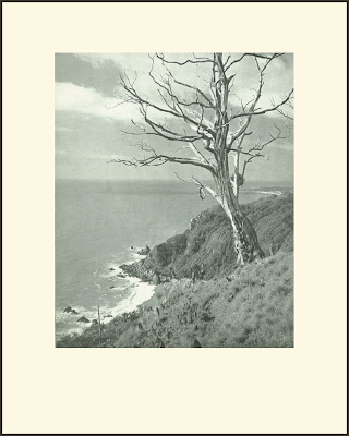 Early New Zealand Photographers: CHANCE, George