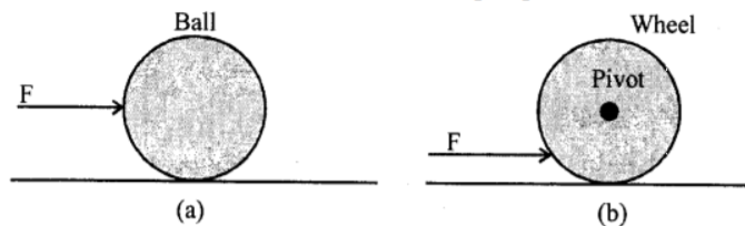 ICSE Solutions for Chapter 3 Force and Pressure Class 8 Physics Selina