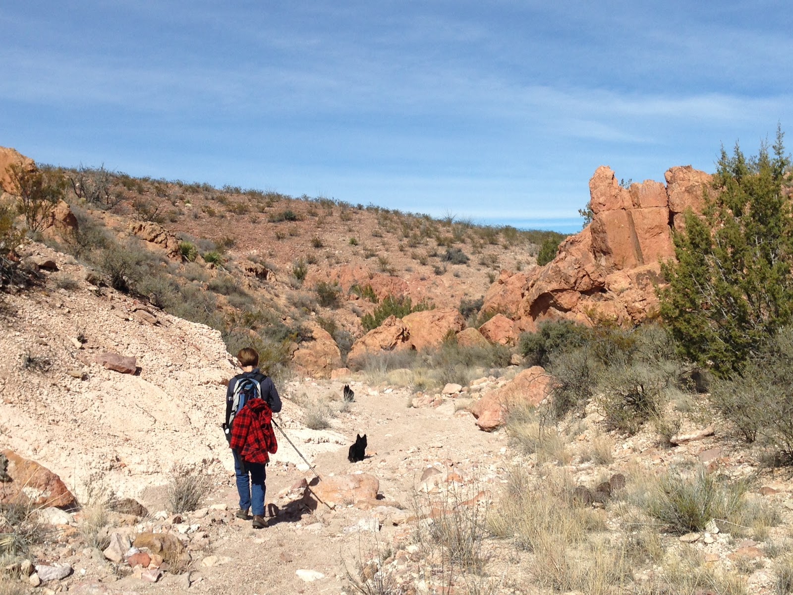 Southern New Mexico Explorer: Upper Faulkner Box Canyon- Organ ...