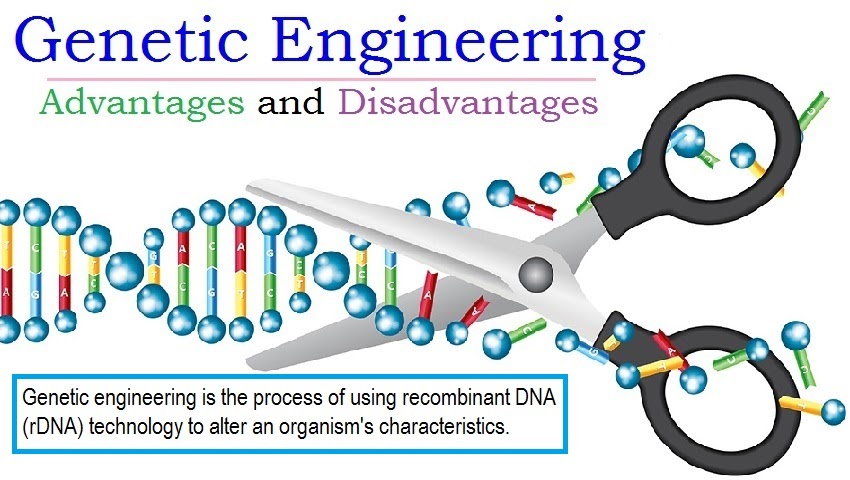 Applications of Genetic Engineering: Advantages and Disadvantages - The ...