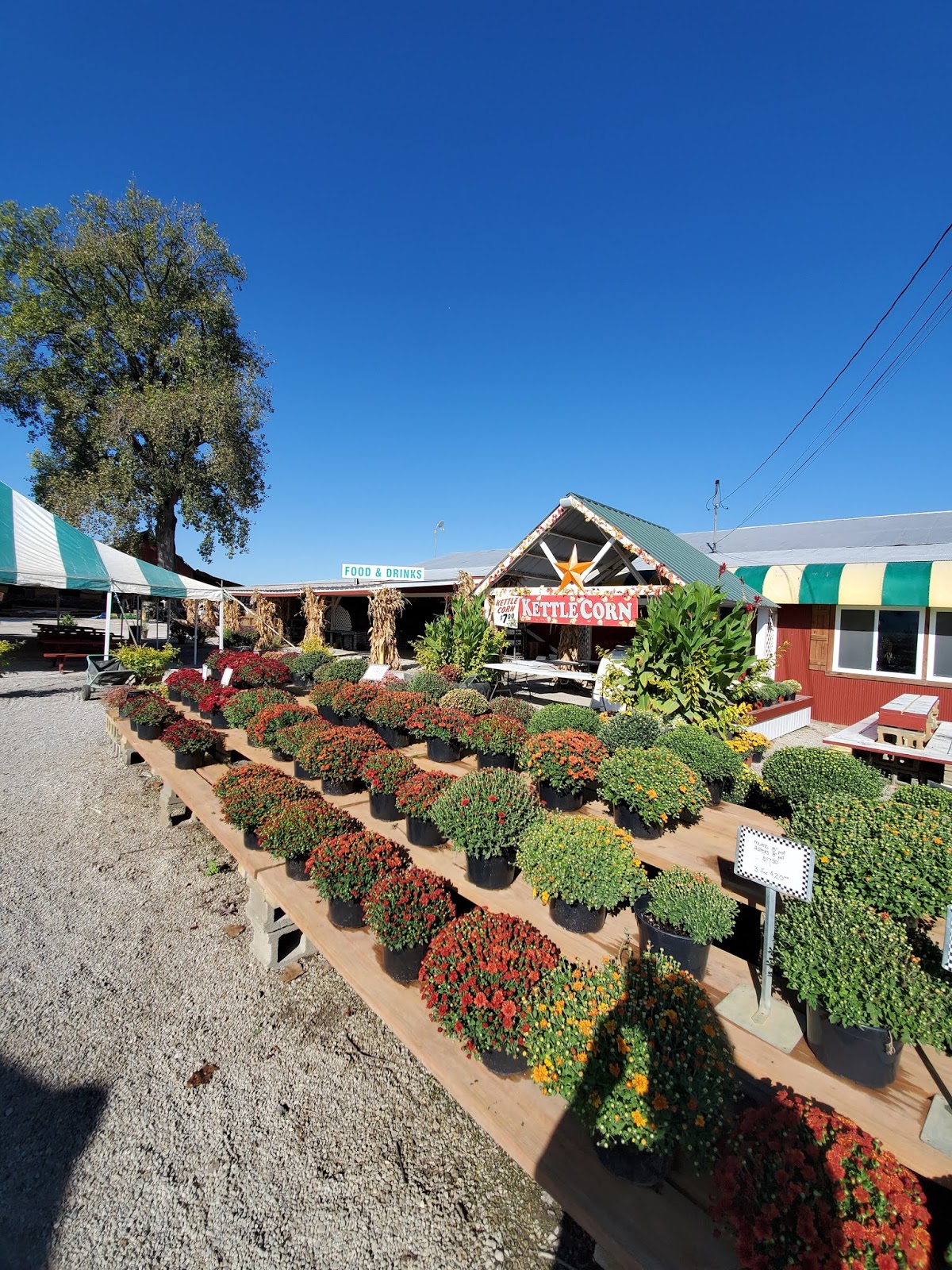 Play St. Louis: Thies Farm (Pumpkinland), Maryland Heights