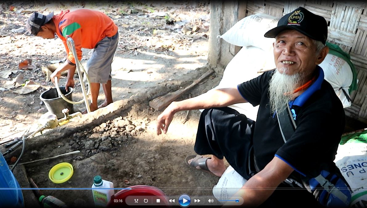 Cara Nyemprot Padi Menggunakan POC Hens Hemat Pupuk Kimia 850 Ribu ...