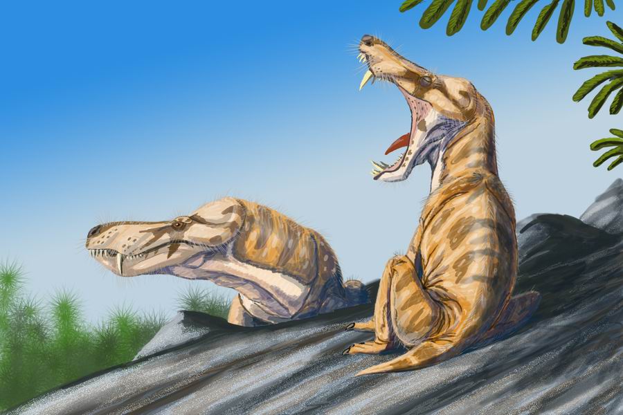 JURASSIC GIANTS: SYNAPSIDS
