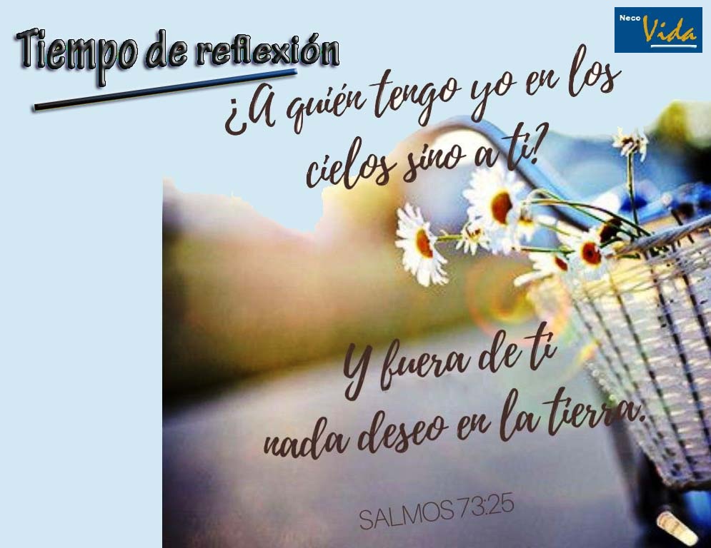 Neco Vida: Tiempo... Salmo 73. 25