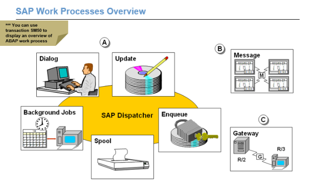 Basics of SAP BASIS