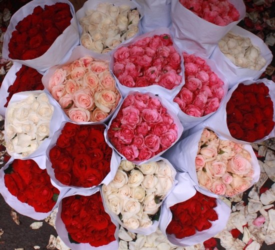 Toko Bunga Magnum Jakarta Barat - Online Florist Indonesia 24 Jam: Tips ...