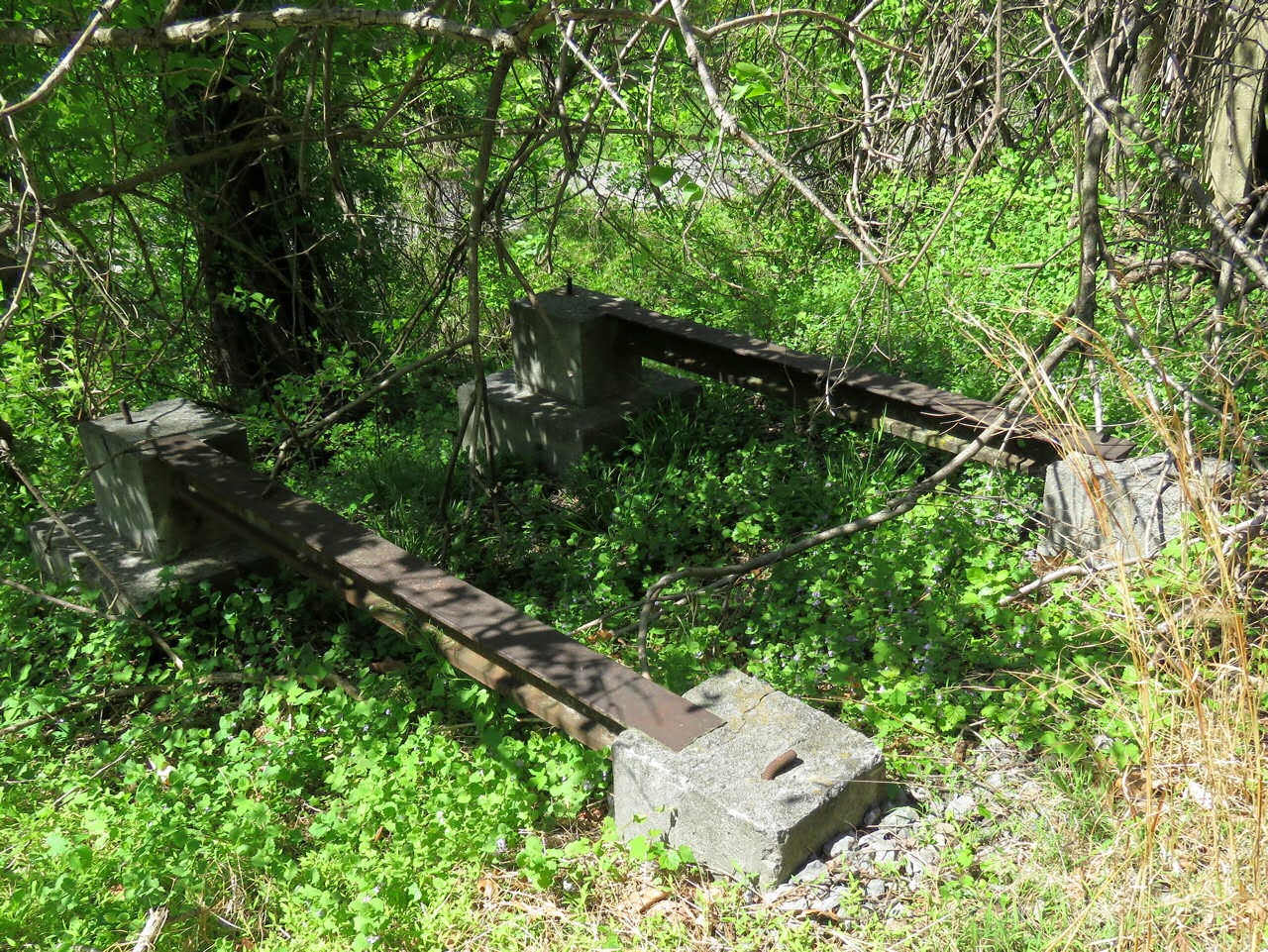 Jersey Mike's Rail Adventures: 19-04-27 PHOTOS: Avalon