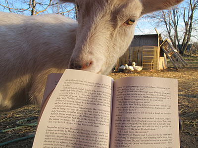 Library Shelf: Goat Brigade by Stacy