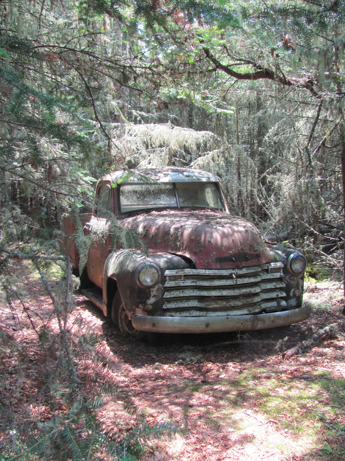 Cruising on M/V Monarch