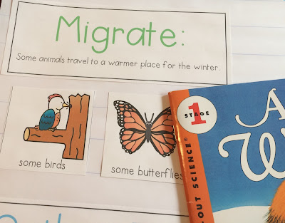 Winter Reading Comprehension in 1st Grade - First Grade Centers and More