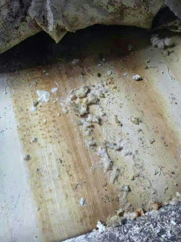 9 GAMBAR PROSES PEMBUATAN MEE HOON CAP MASJID YANG MENJIJIKKAN DI ...