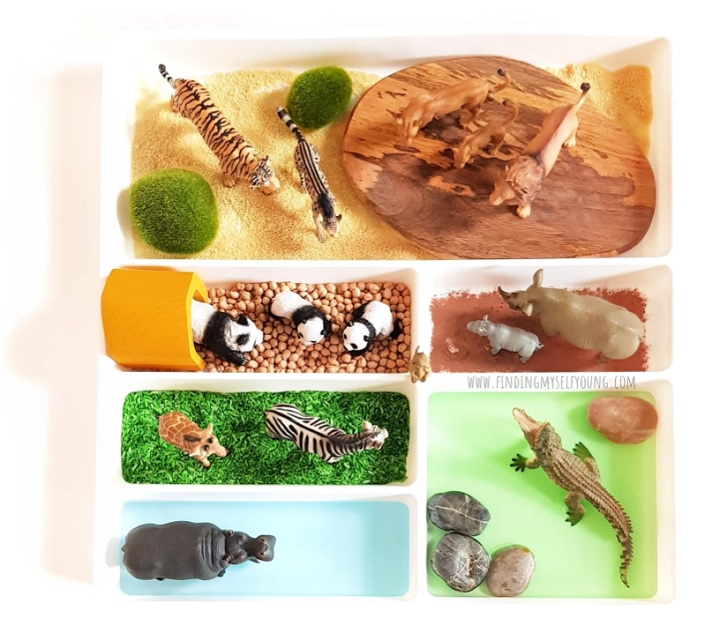 Zoo Cutlery Tray Small World | Finding Myself Young