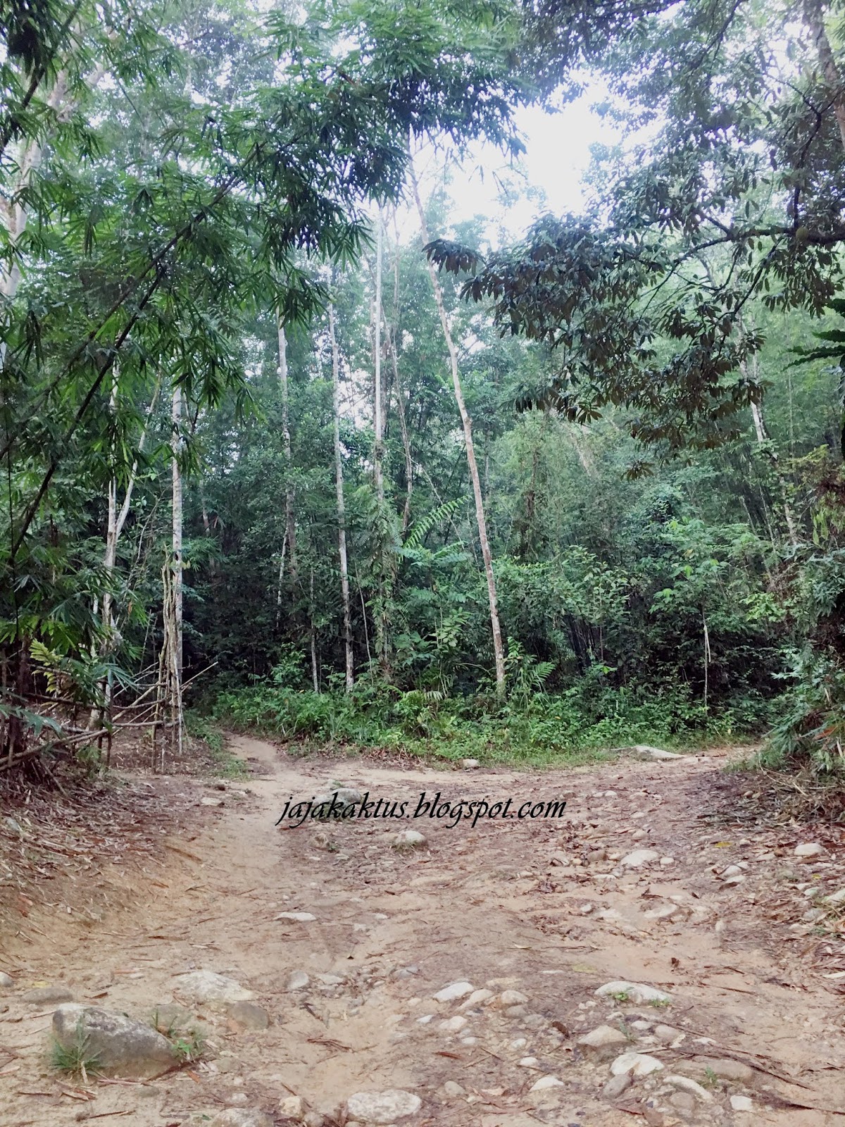 Hiking Bukit Kutu, Kuala Kubu Bharu - Cik Jaja
