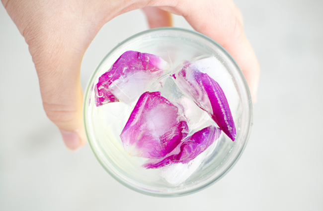 Sweet Roots {Infusions of Herbal Living}: How to make your own ...