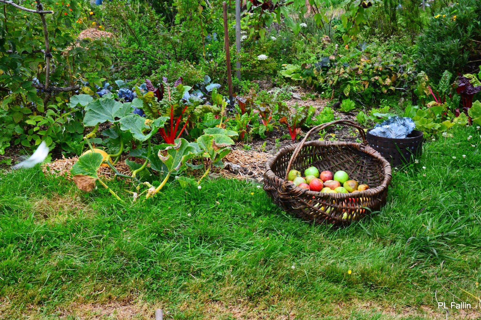 PL Fallin Photography: The Hobbit's Middle-Earth Flower and Vegetable ...
